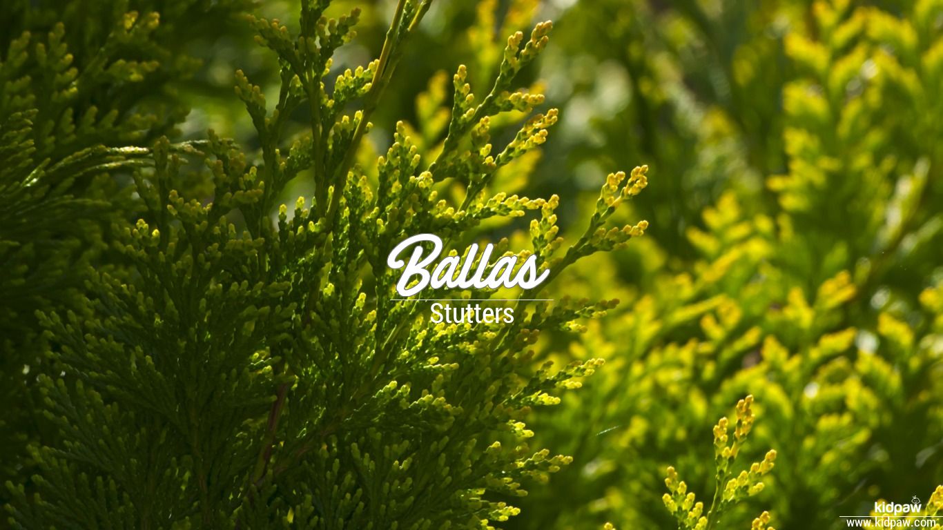 Ballas 3D Name Wallpaper for Mobile, Write Name on Photo Online