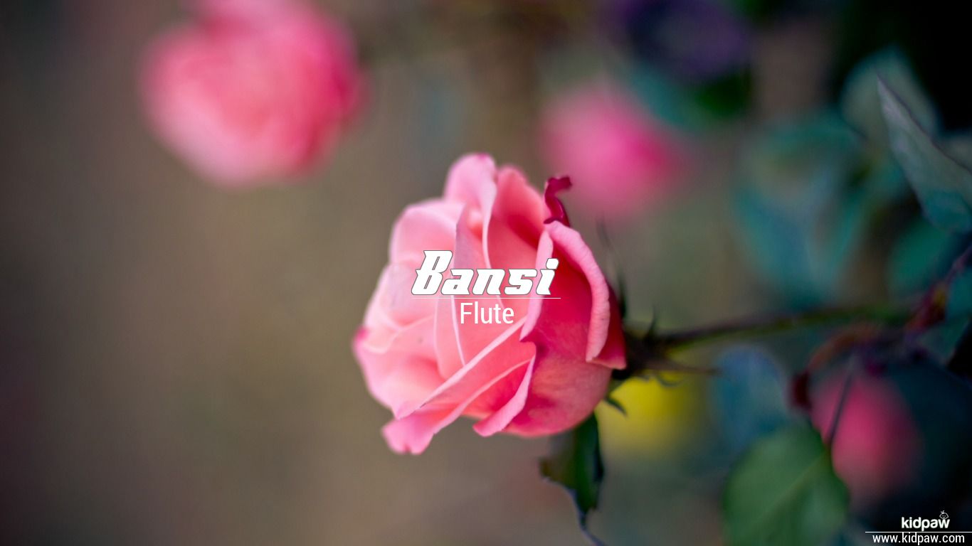 Bansi 3D Name Wallpaper for Mobile, Write बंसी Name on Photo Online