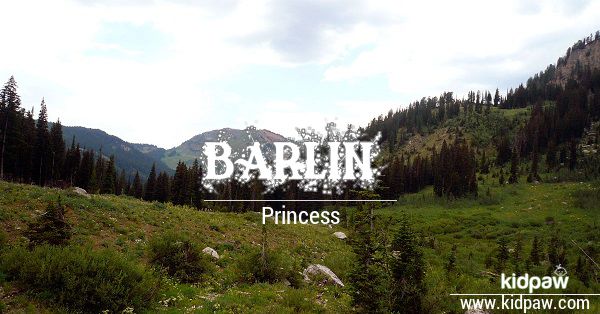 Barlin 3D Name Wallpaper for Mobile, Write Name on Photo Online