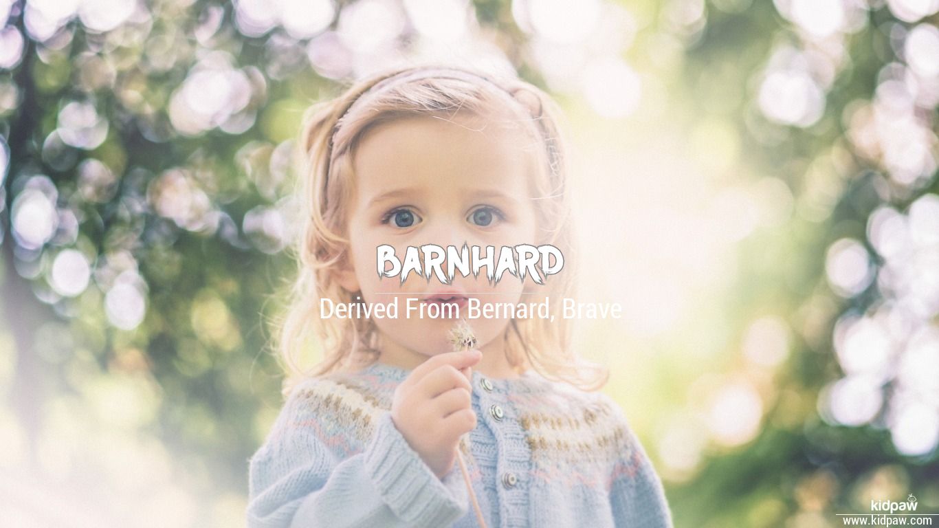 Barnhard 3D Name Wallpaper for Mobile, Write Name on Photo Online