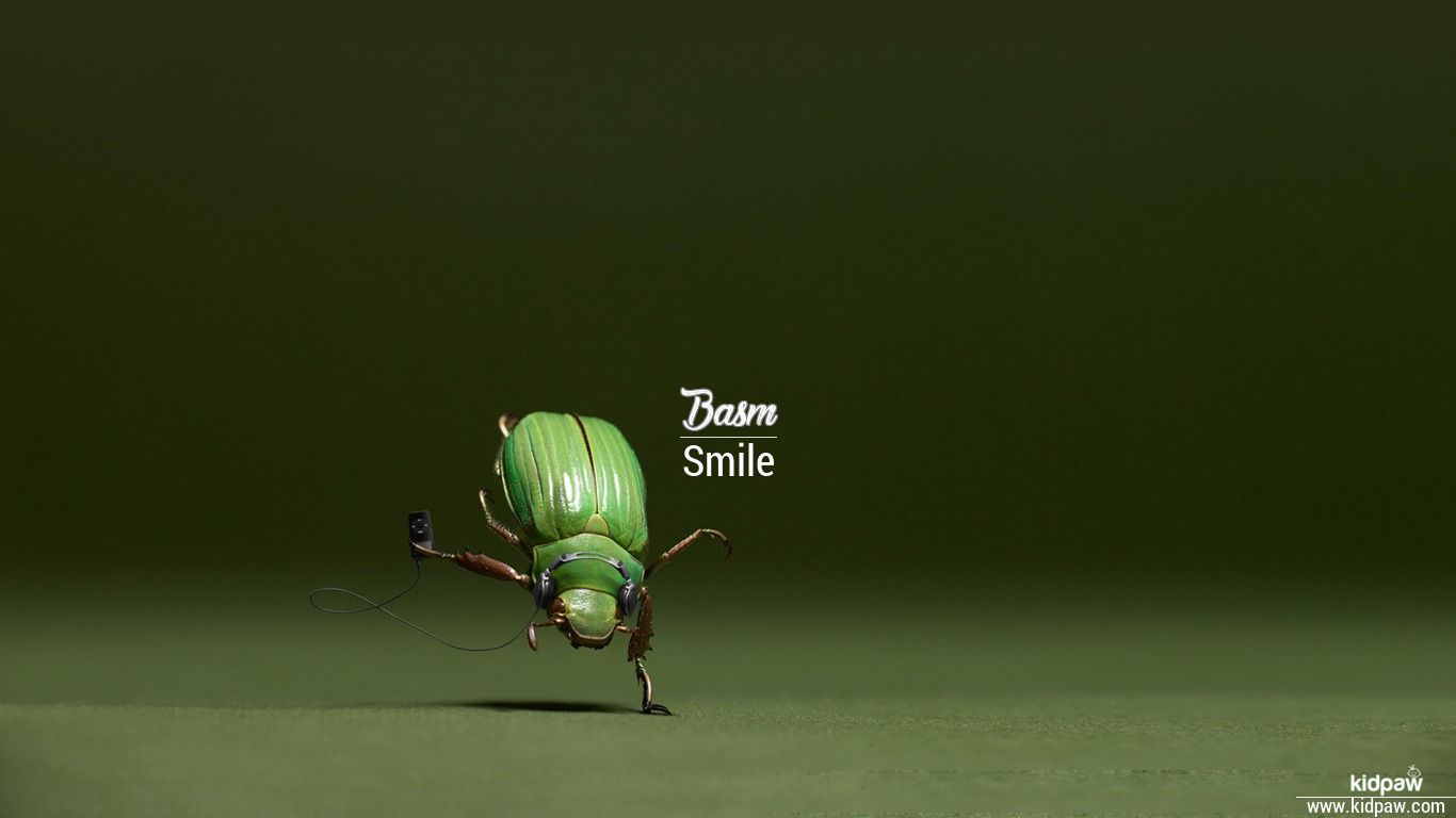 Basm 3D Name Wallpaper for Mobile, Write Name on Photo Online