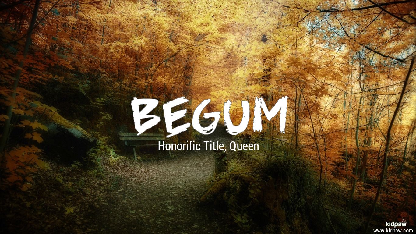 Begum Name Meaning in English & Urdu, Origin, Luck Number