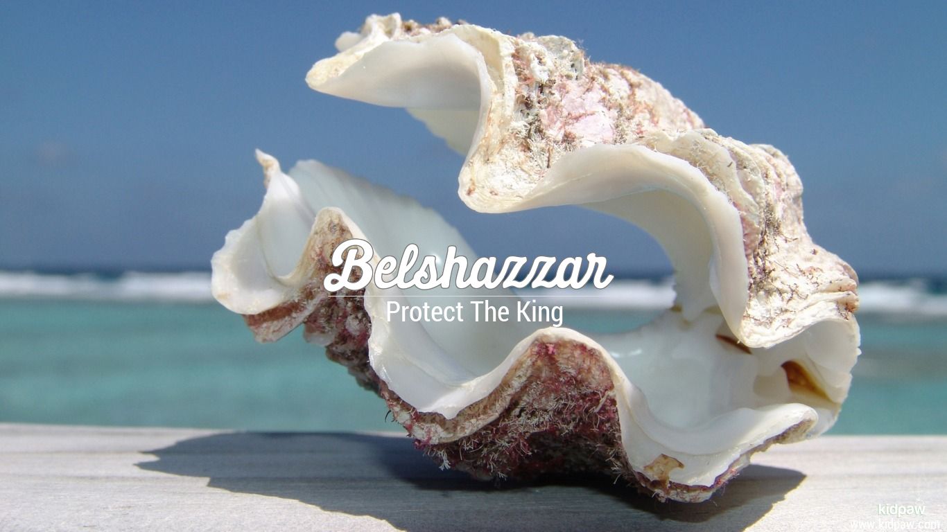 Belshazzar 3D Name Wallpaper for Mobile, Write Name on Photo Online