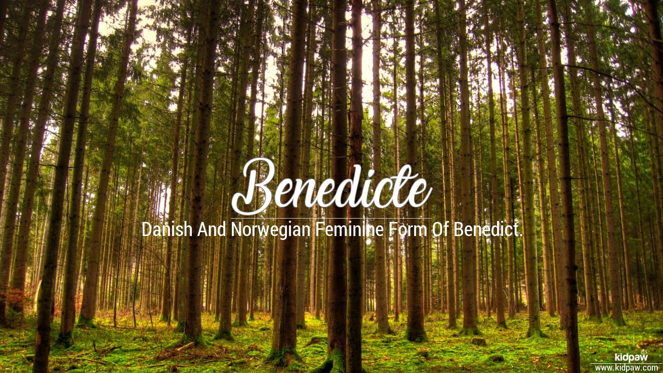 Benedicte 3D Name Wallpaper for Mobile, Write Name on Photo Online