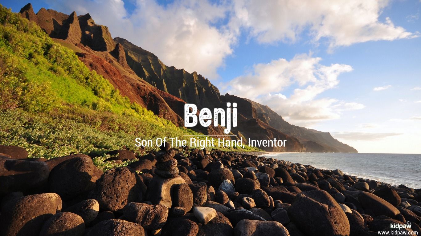Benji Meanings in English, Popularity, Origin