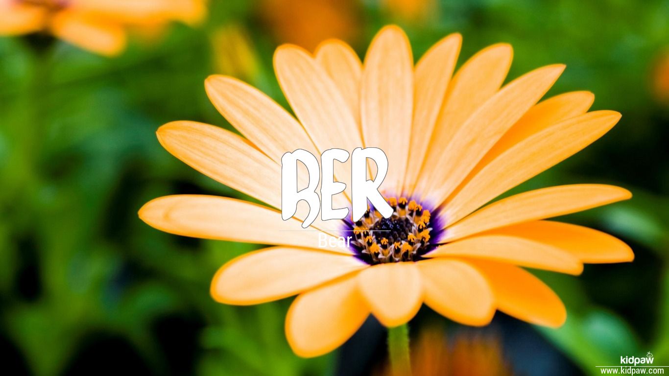 Ber 3D Name Wallpaper for Mobile, Write Name on Photo Online