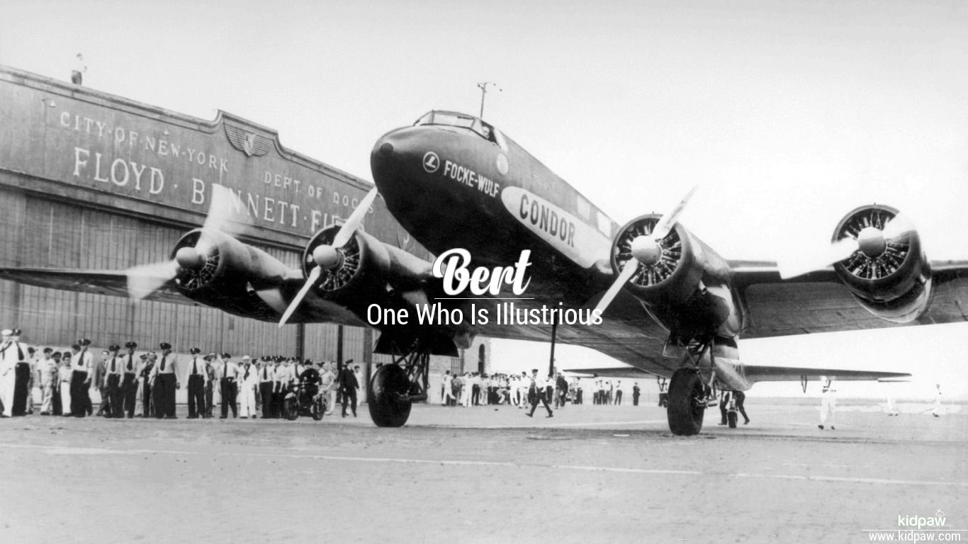 Bert 3D Name Wallpaper for Mobile, Write Name on Photo Online