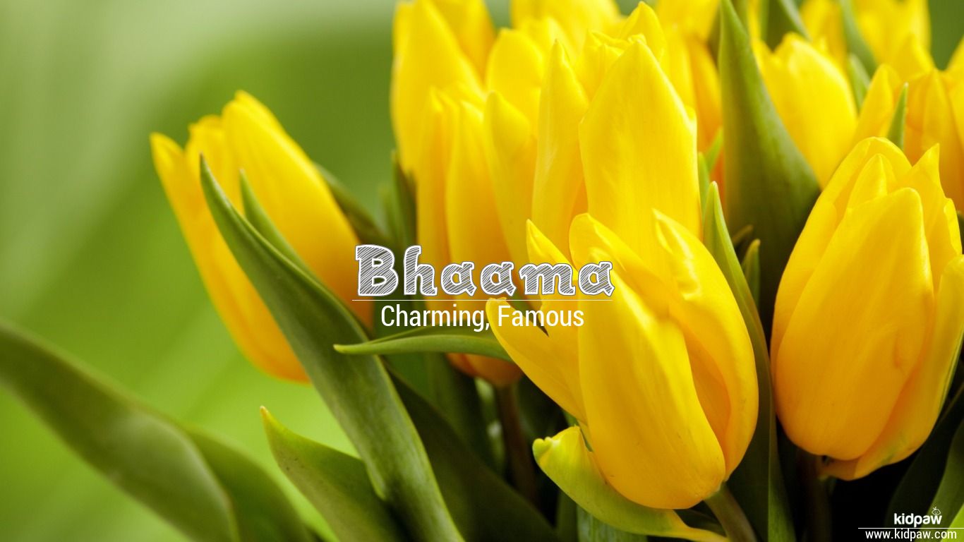 Bhaama 3D Name Wallpaper for Mobile, Write भामा Name on Photo Online