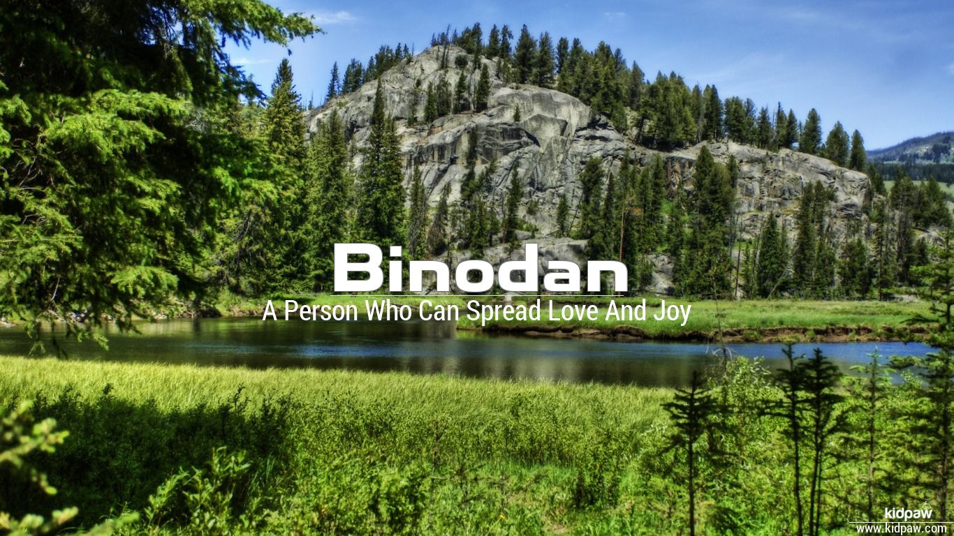 Binodan 3D Name Wallpaper for Mobile, Write बीनोदन Name on Photo Online