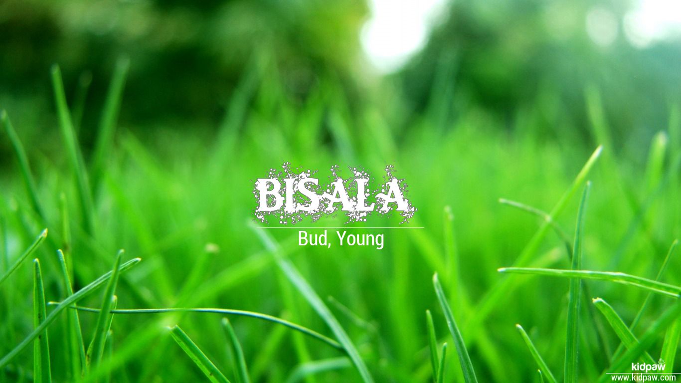 Bisala 3D Name Wallpaper for Mobile, Write बिसाला Name on Photo Online