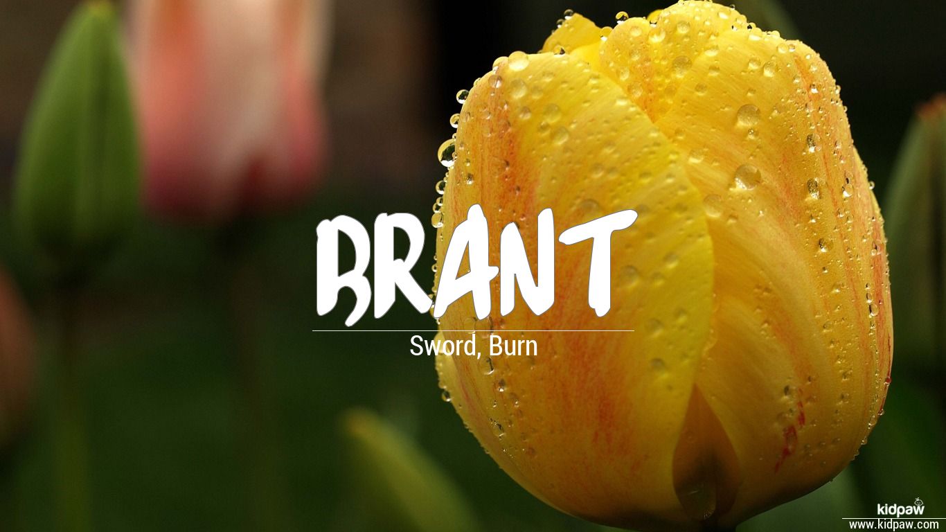 Brant 3D Name Wallpaper for Mobile, Write ब्रंत Name on Photo Online