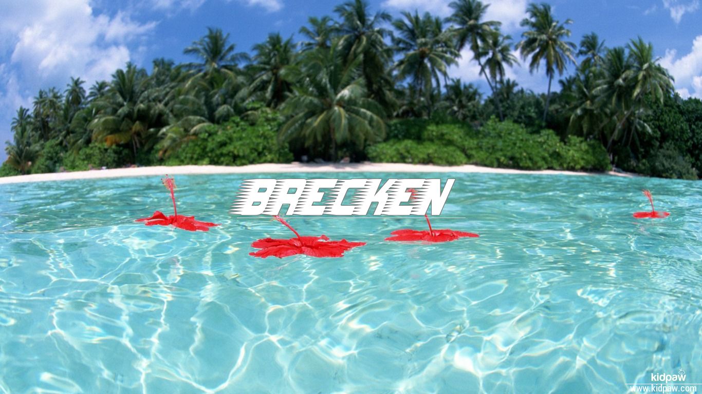 Brecken 3D Name Wallpaper for Mobile, Write Name on Photo Online