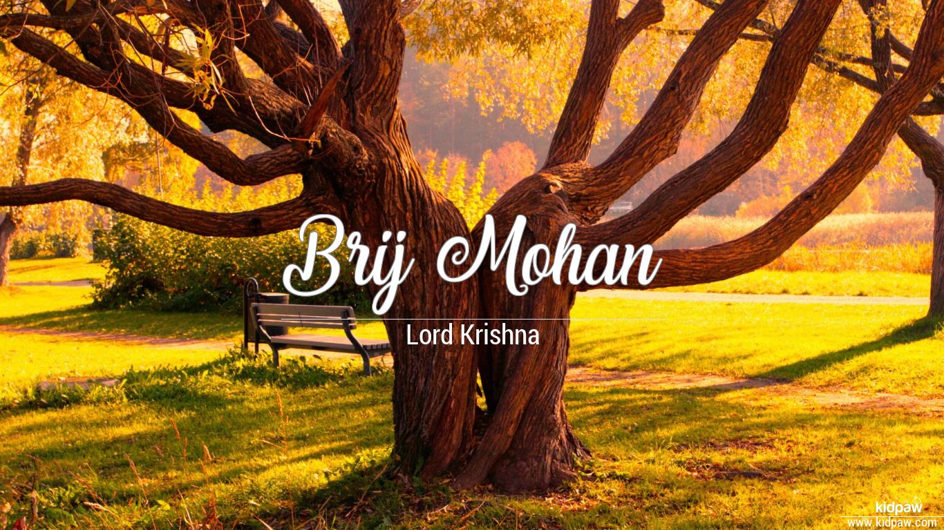 ब्रिजमोहन | Brij Mohan Name Meaning in Hindi & English, Rashi ...