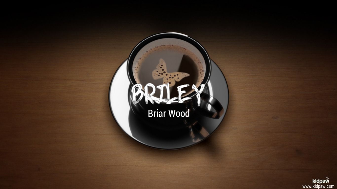 Briley Meanings in English, Popularity, Origin