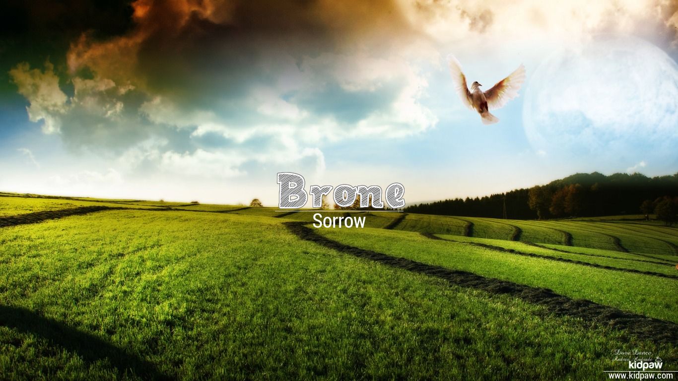 Brone 3D Name Wallpaper for Mobile, Write Name on Photo Online