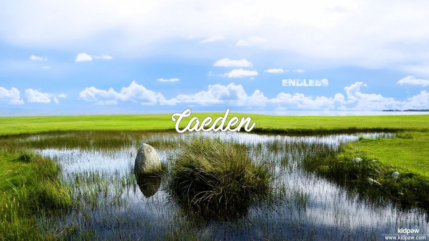 Caeden 3D Name Wallpaper for Mobile, Write Name on Photo Online