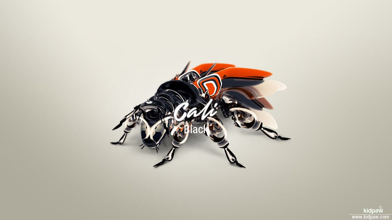 Cali 3D Name Wallpaper for Mobile, Write काली Name on Photo Online