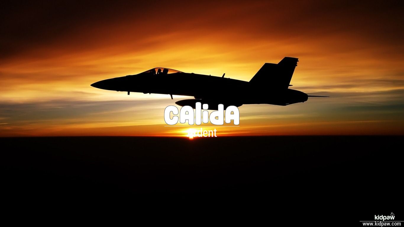 Calida 3D Name Wallpaper for Mobile, Write Name on Photo Online