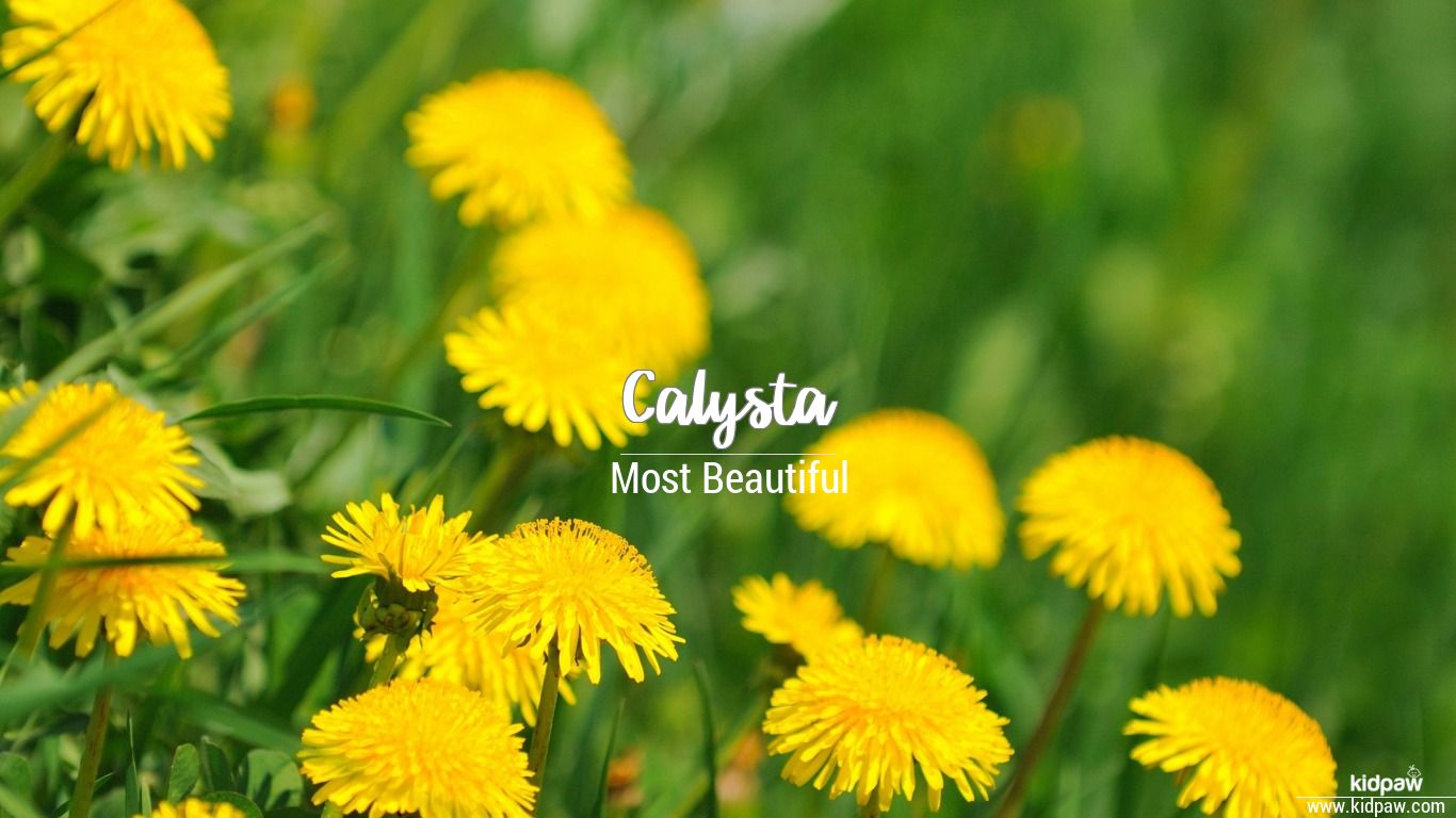 Calysta 3D Name Wallpaper for Mobile, Write Name on Photo Online