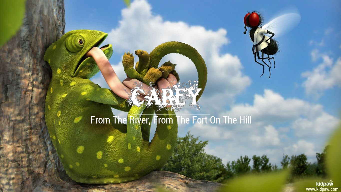 Carey 3D Name Wallpaper for Mobile, Write Name on Photo Online