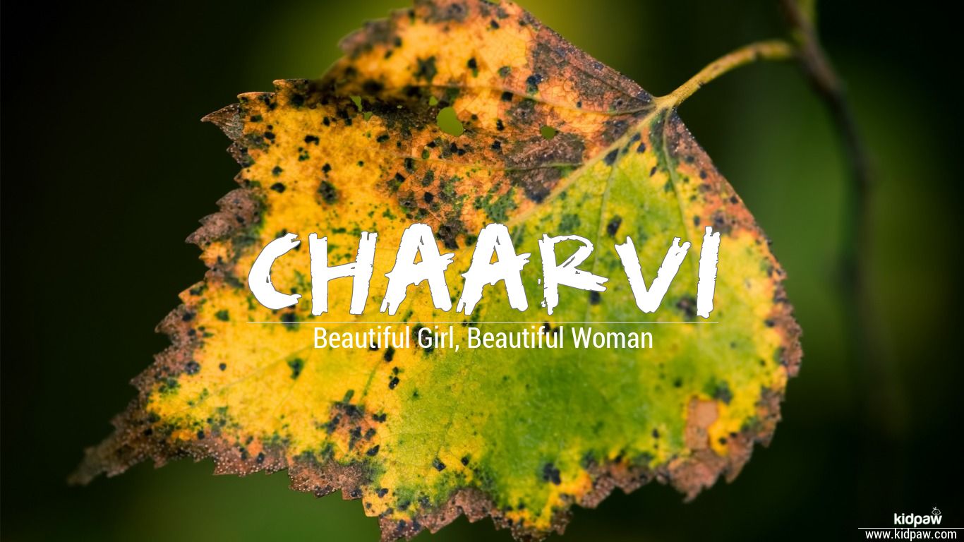 Chaarvi 3D Name Wallpaper for Mobile, Write चार्वी Name on Photo Online