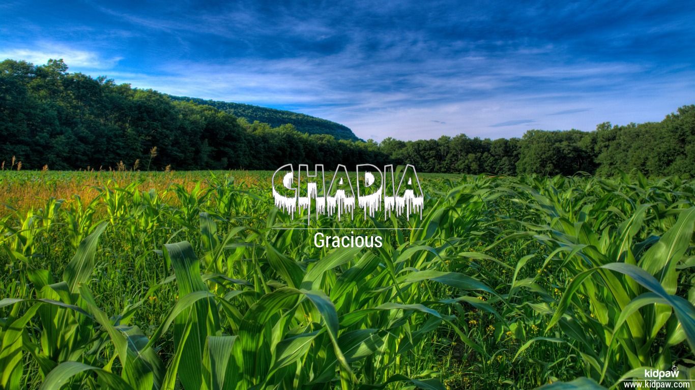 Chadia 3D Name Wallpaper for Mobile, Write شادية Name on Photo Online