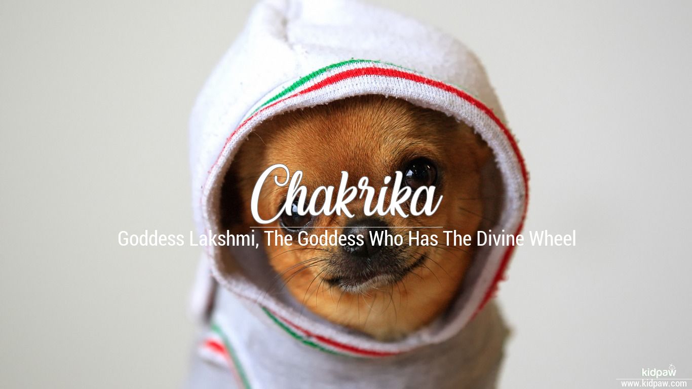 Chakrika 3D Name Wallpaper for Mobile, Write चक्रिका Name on Photo Online