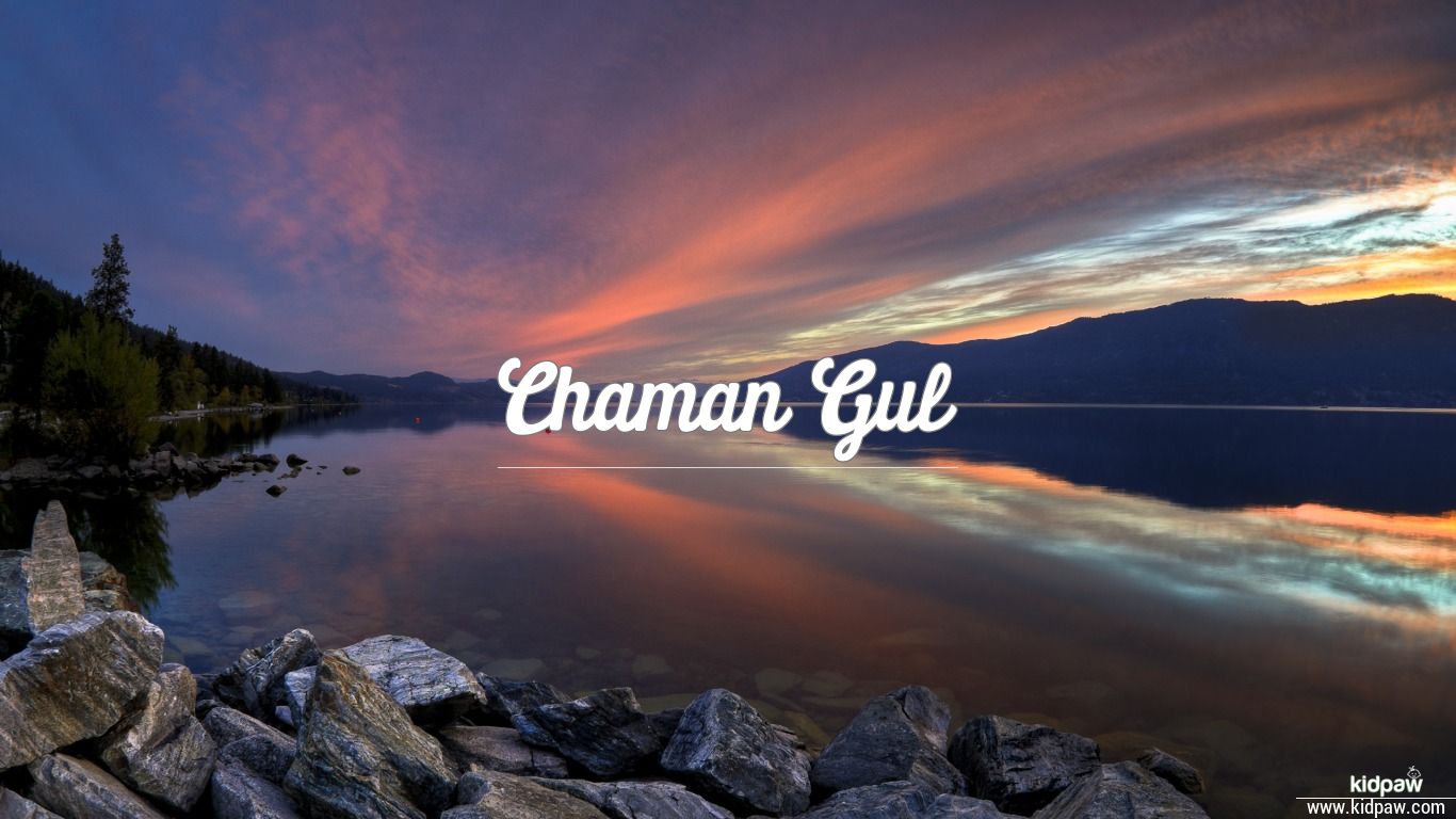 Chaman Gul Name Meaning in English & Urdu, Origin, Luck Number