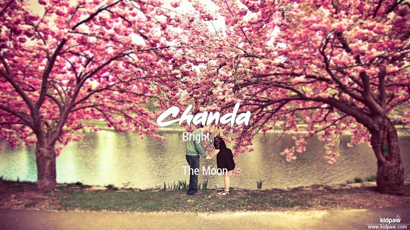 Chanda 3D Name Wallpaper for Mobile, Write شندا Name on Photo Online