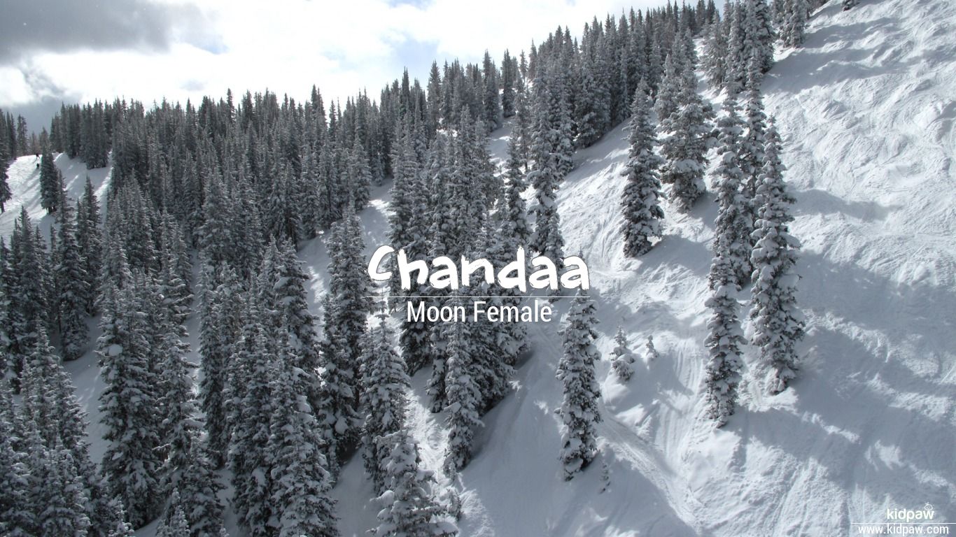 Chandaa 3D Name Wallpaper for Mobile, Write चंदा Name on Photo Online