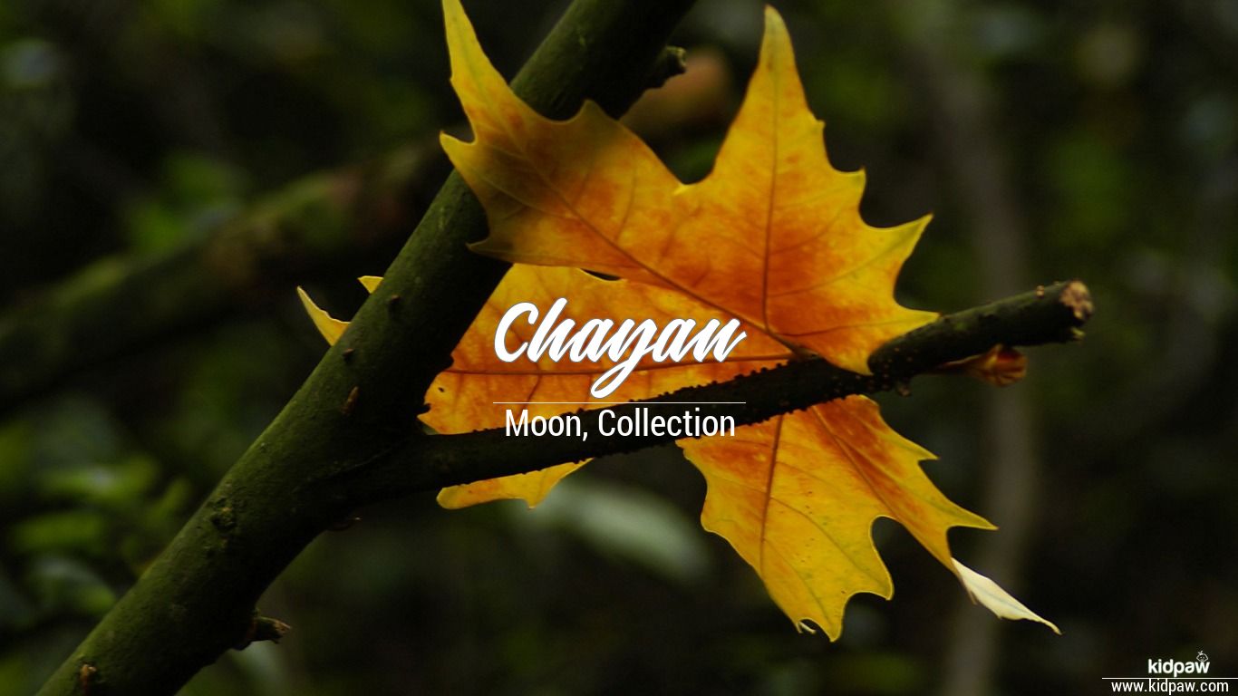 छायान | Chayan Name Meaning in Hindi & English, Rashi, Nakshatra, Origin, Lucky Number