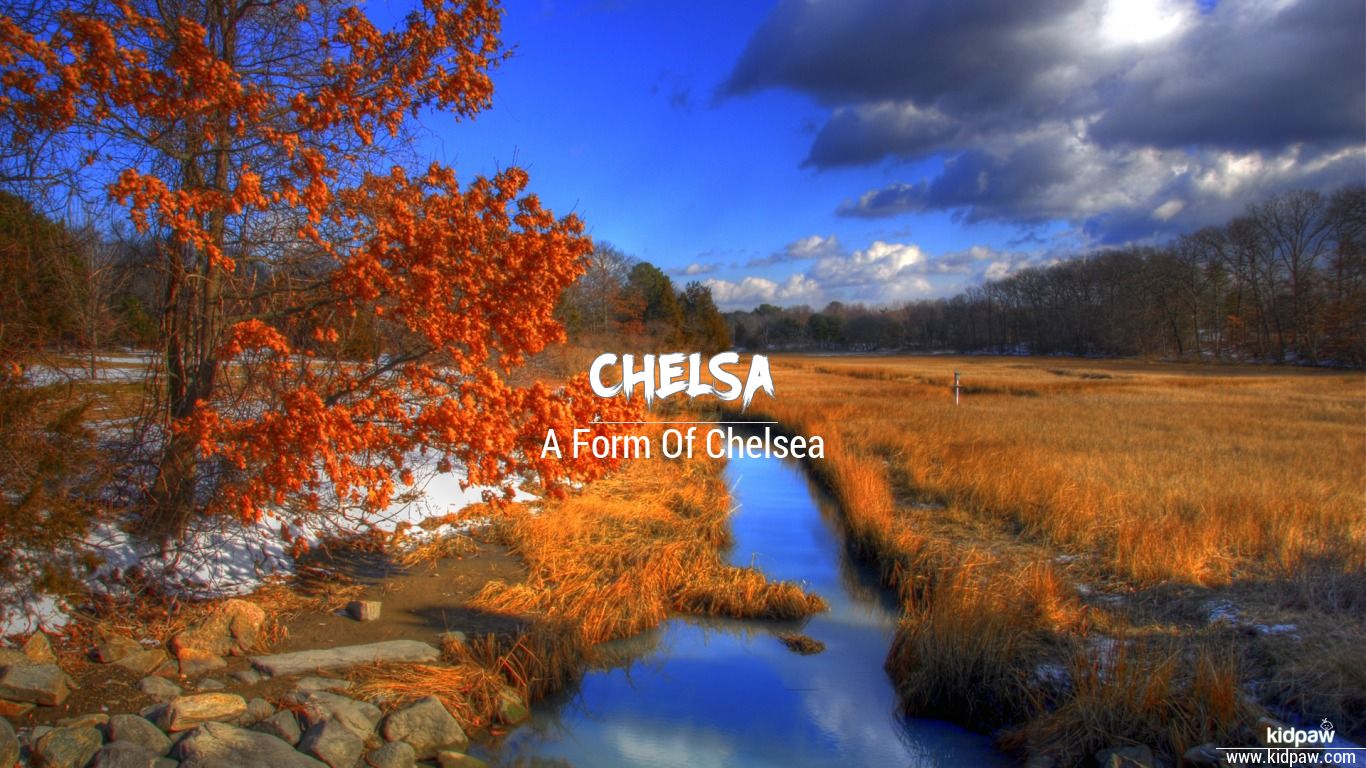 Chelsa 3D Name Wallpaper for Mobile, Write Name on Photo Online