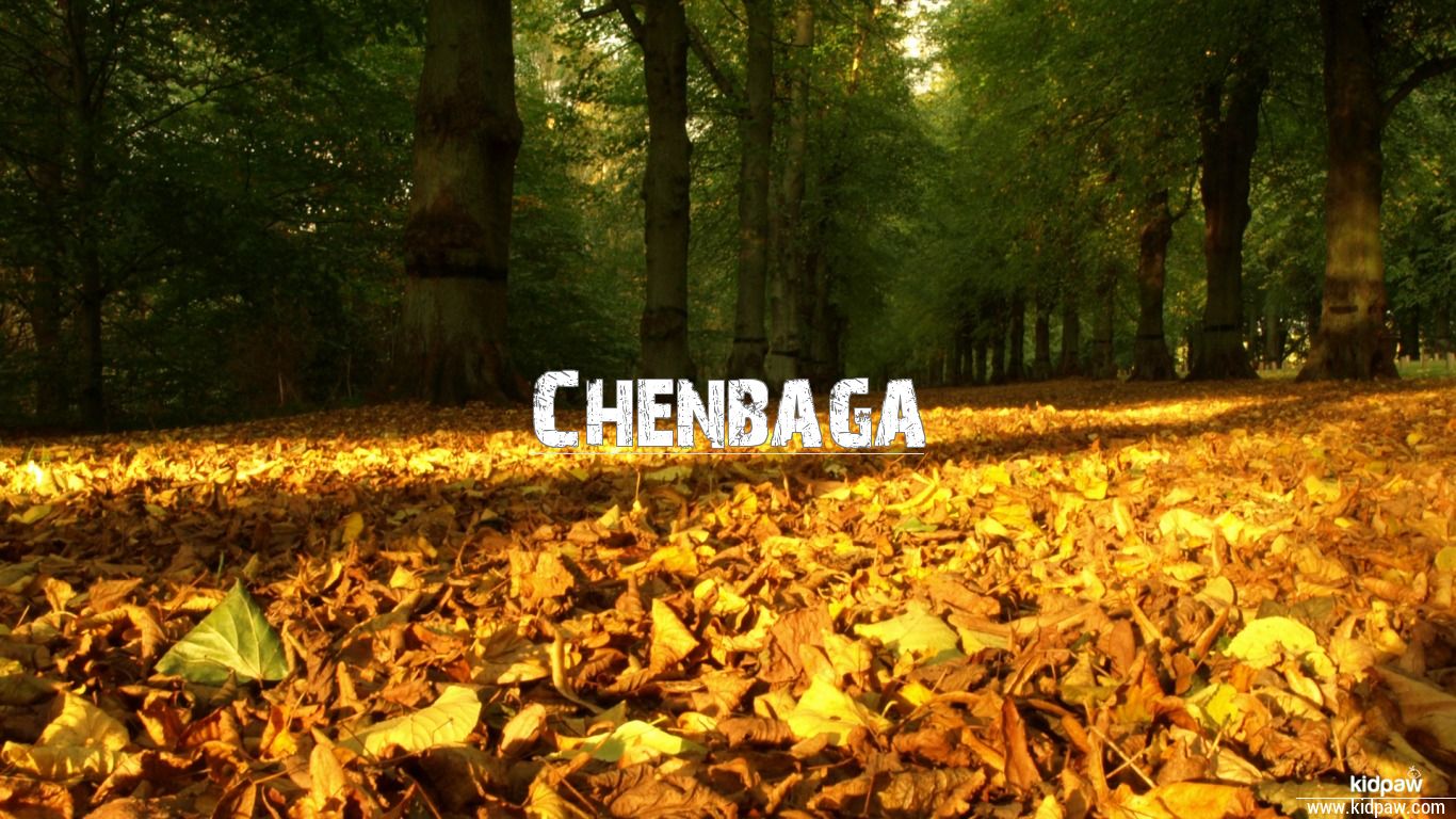 Chenbaga 3D Name Wallpaper for Mobile, Write चेनबगा Name on Photo Online