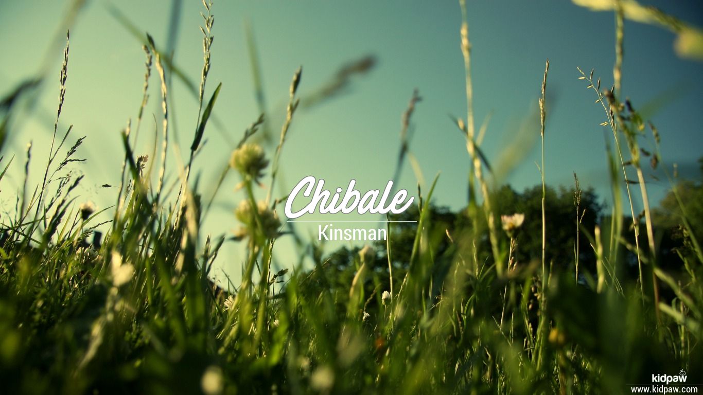 Chibale 3D Name Wallpaper for Mobile, Write Name on Photo Online