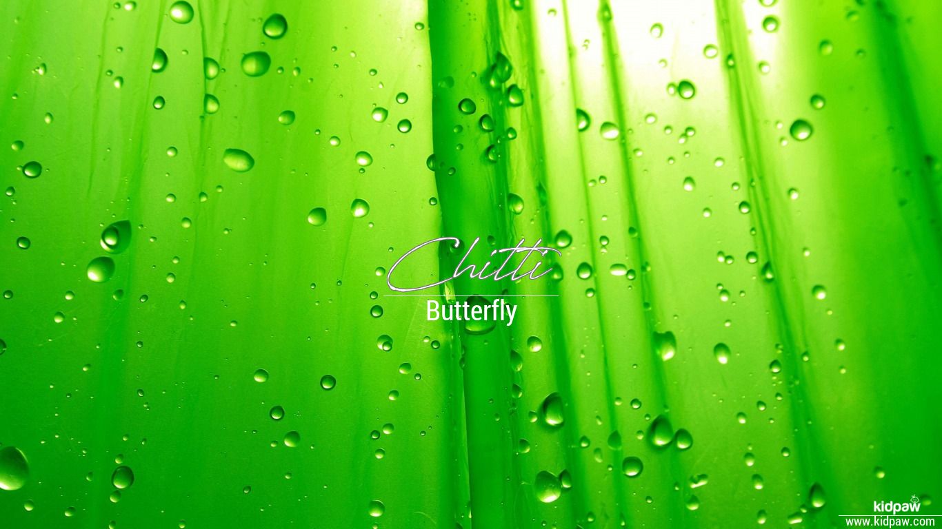 Chitti 3D Name Wallpaper for Mobile, Write चिट्टी Name on Photo Online