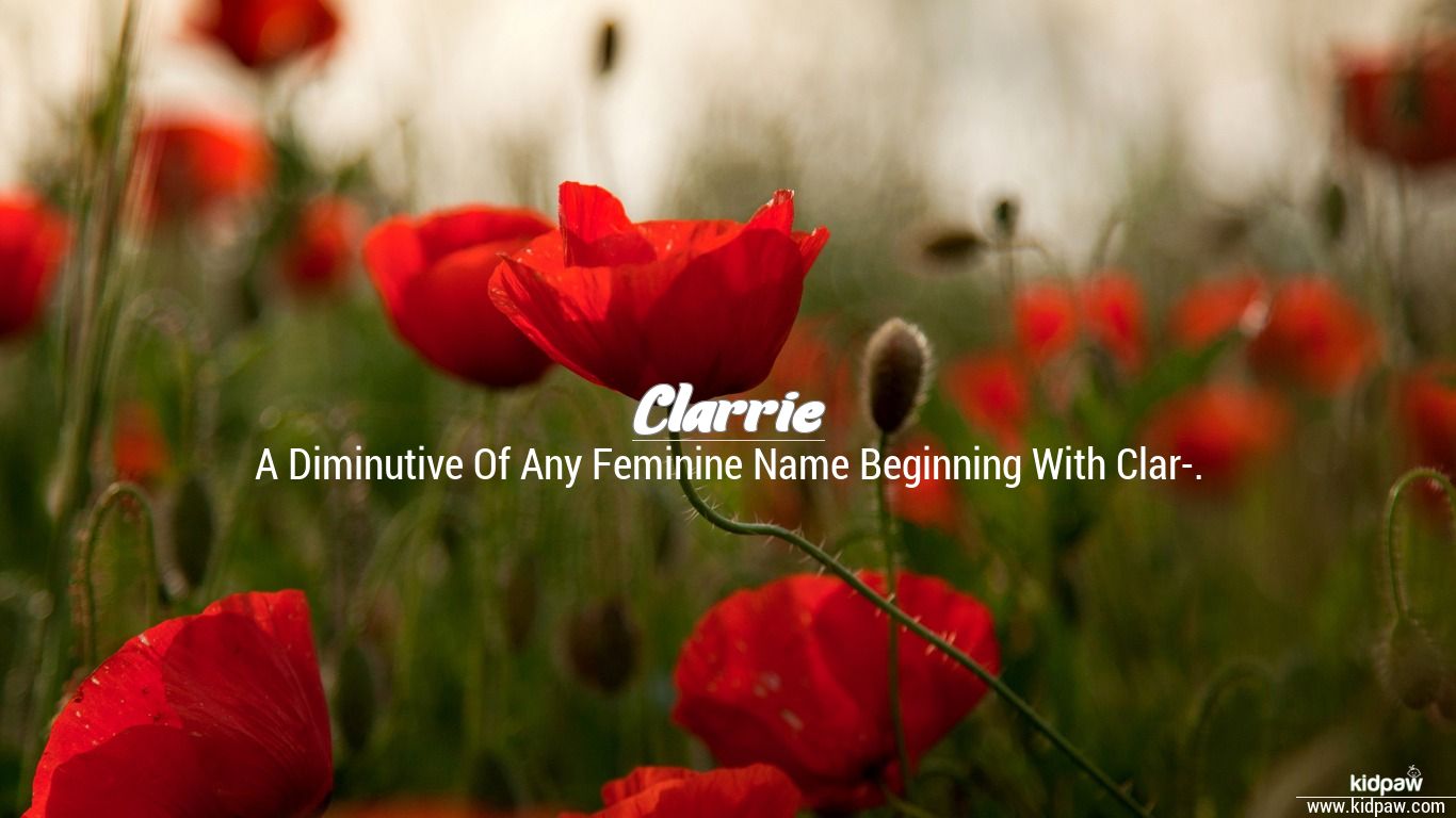 Clarrie 3D Name Wallpaper for Mobile, Write Name on Photo Online