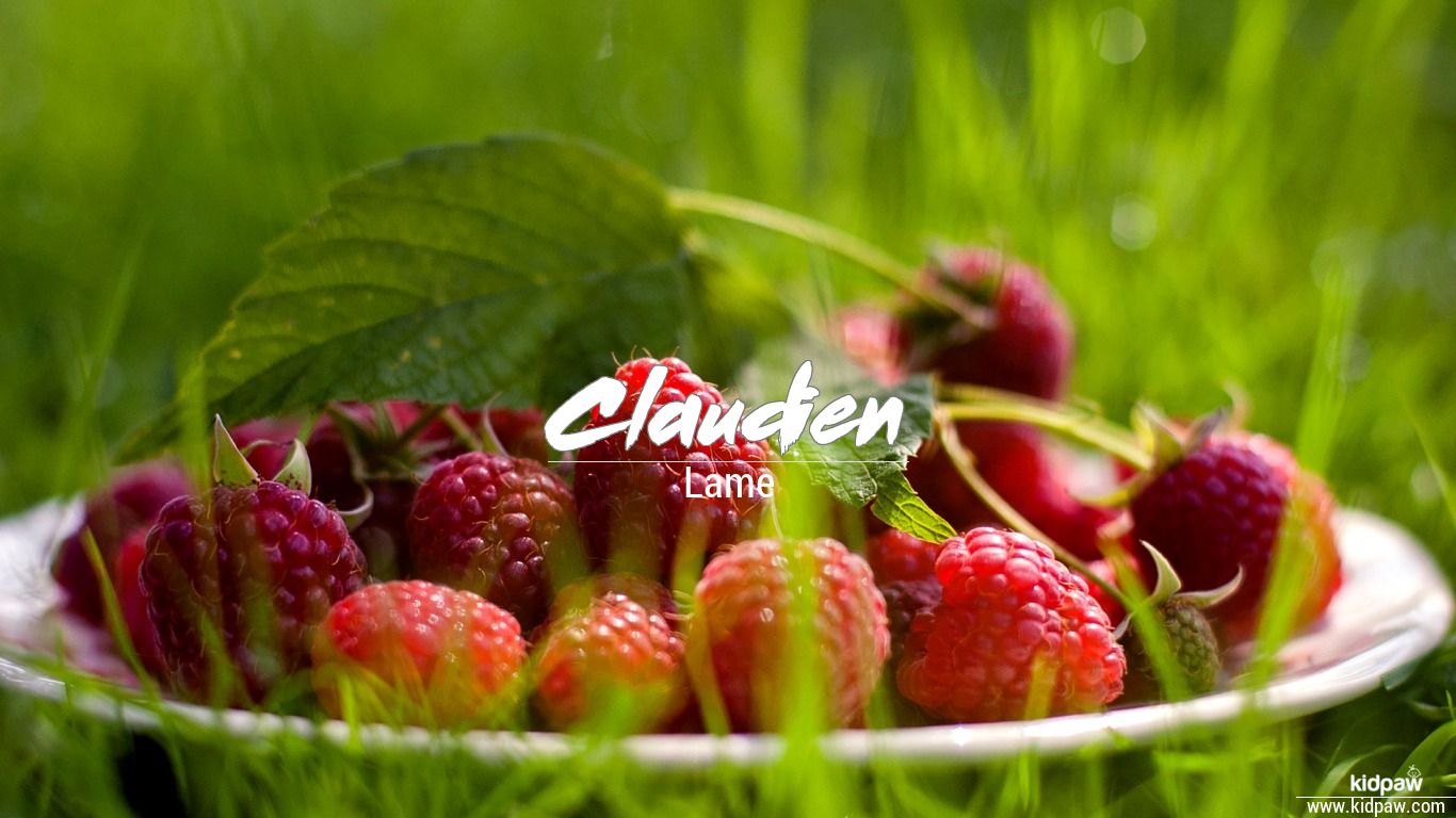 Claudien 3D Name Wallpaper for Mobile, Write Name on Photo Online