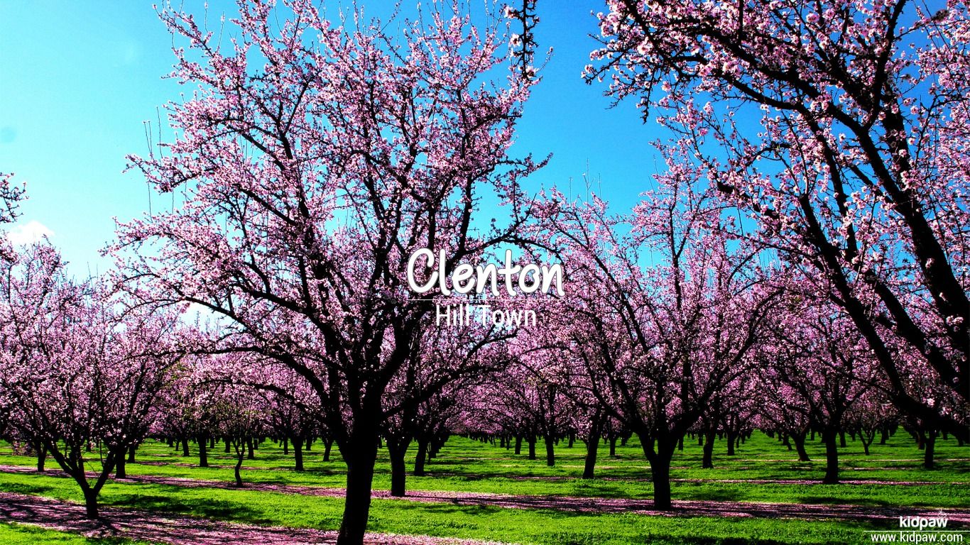 Clenton 3D Name Wallpaper for Mobile, Write Name on Photo Online