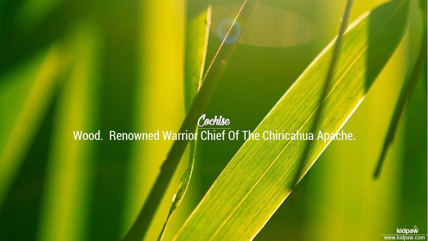 Cochise 3D Name Wallpaper for Mobile, Write Name on Photo Online