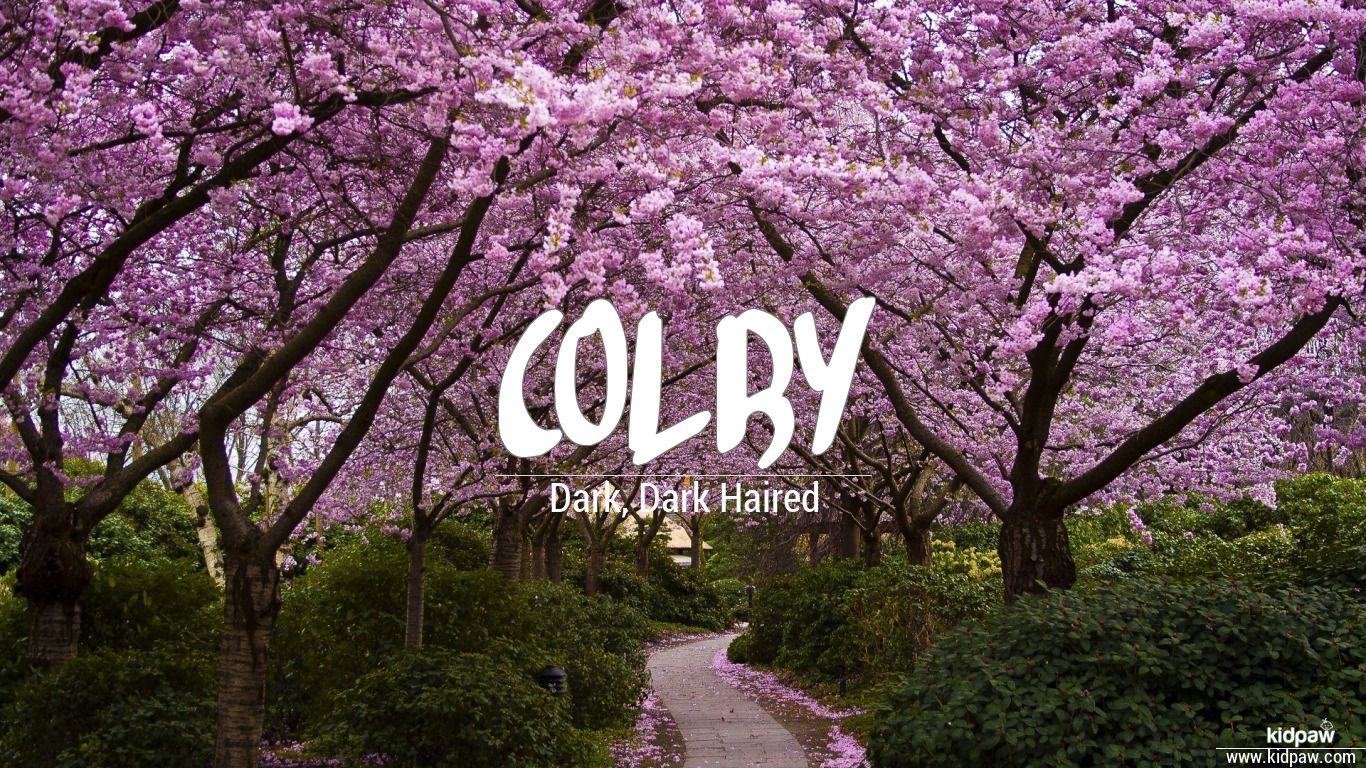 Colby 3D Name Wallpaper for Mobile, Write Name on Photo Online