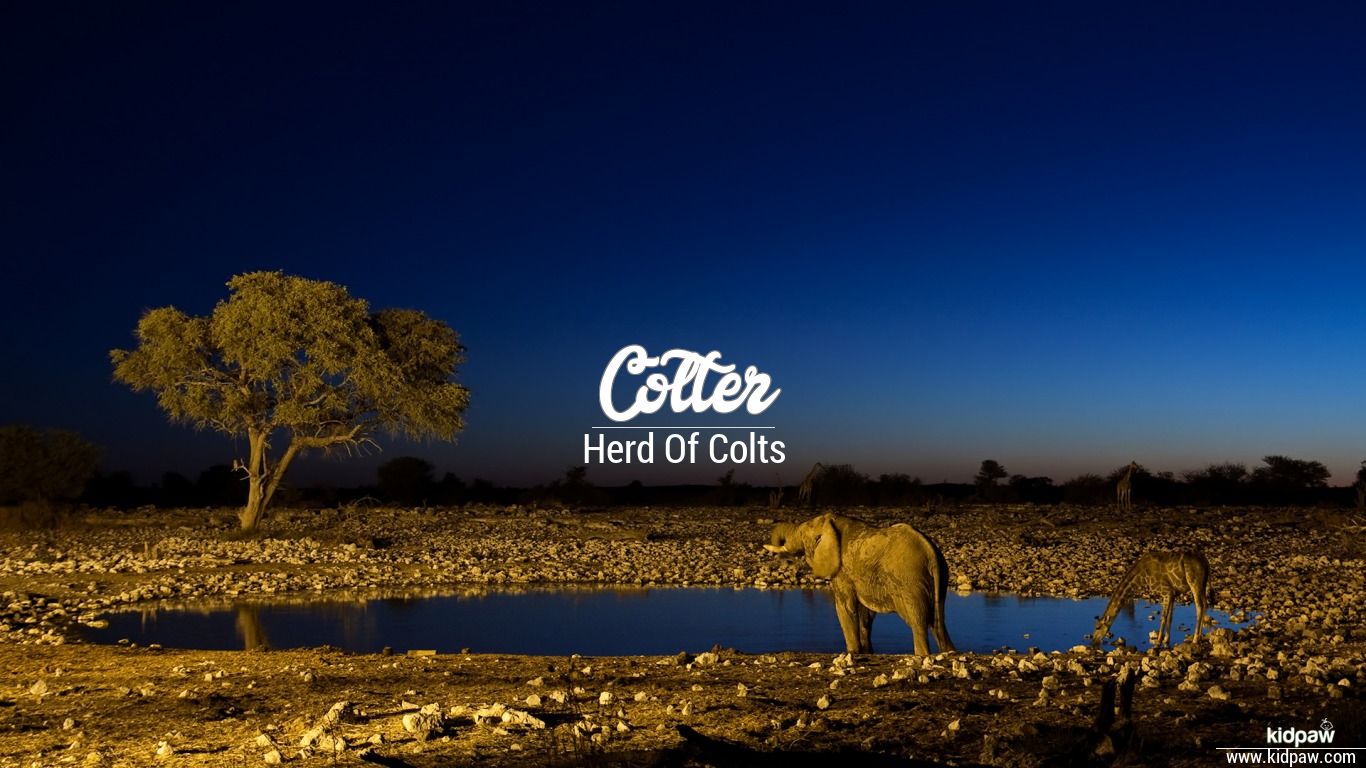 Colter 3D Name Wallpaper for Mobile, Write Name on Photo Online