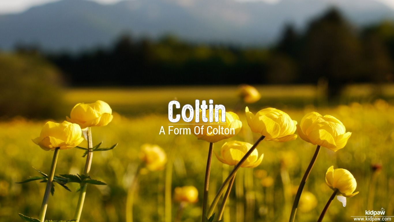 Coltin Meanings in English, Popularity, Origin
