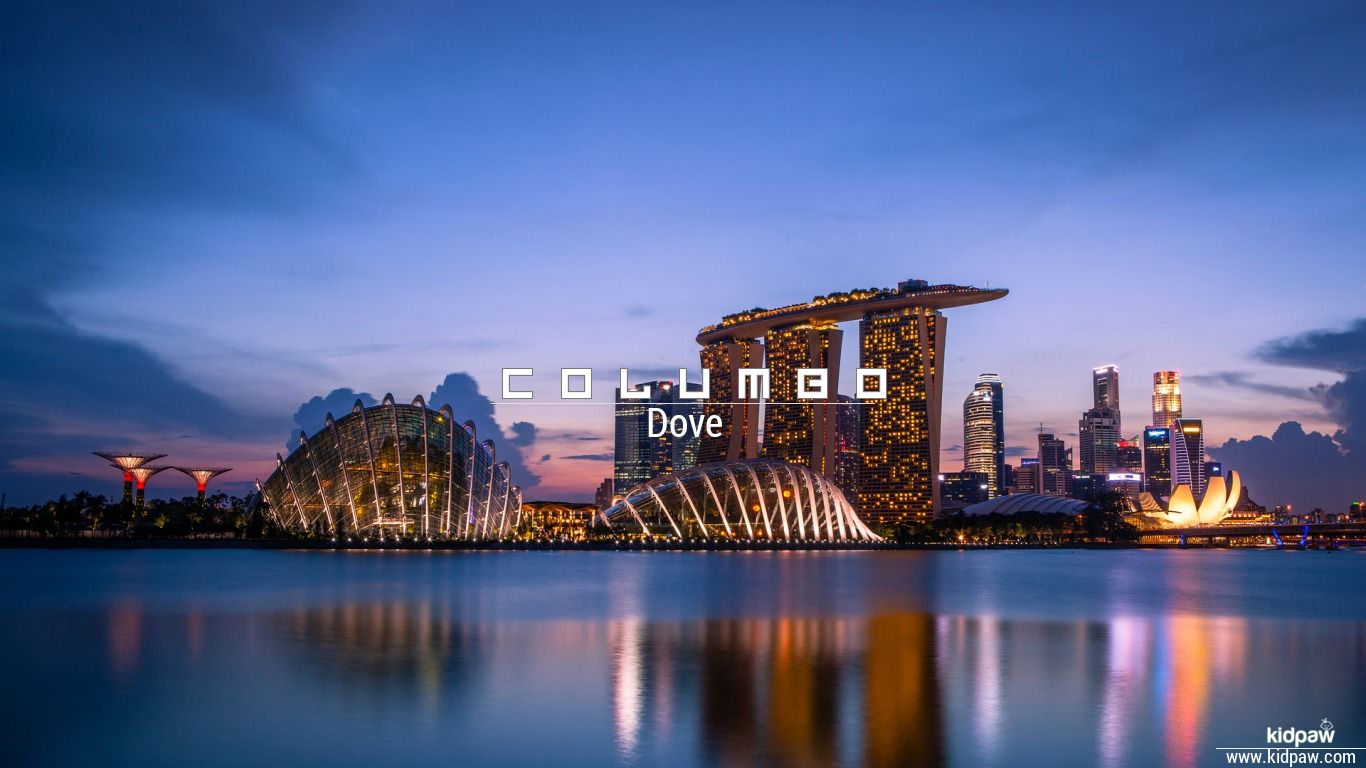 Columbo 3D Name Wallpaper for Mobile, Write Name on Photo Online