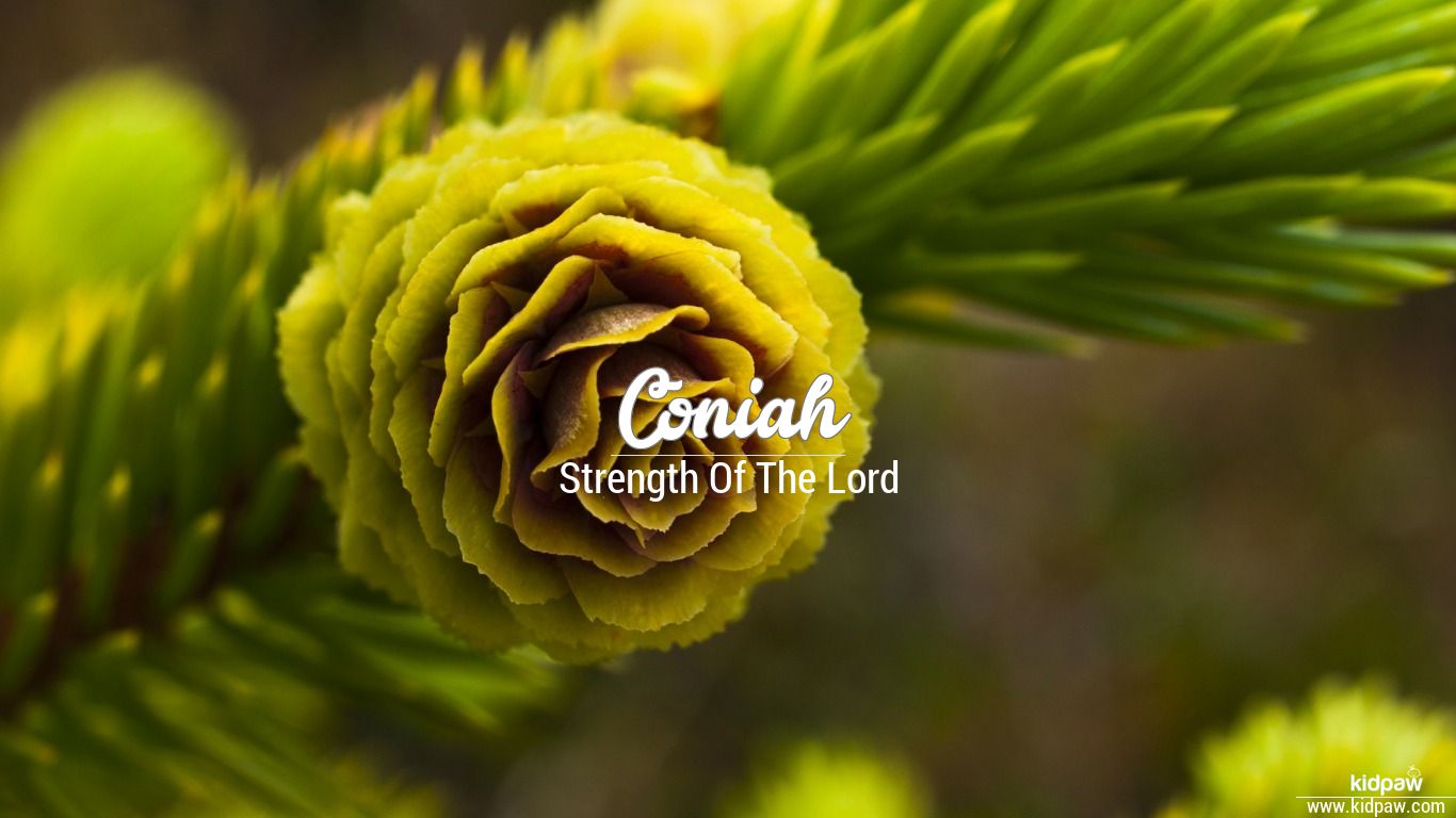 Coniah 3D Name Wallpaper for Mobile, Write Name on Photo Online