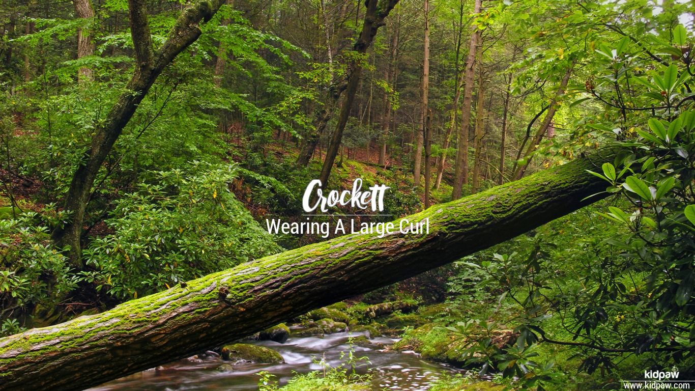 Crockett 3D Name Wallpaper for Mobile, Write Name on Photo Online