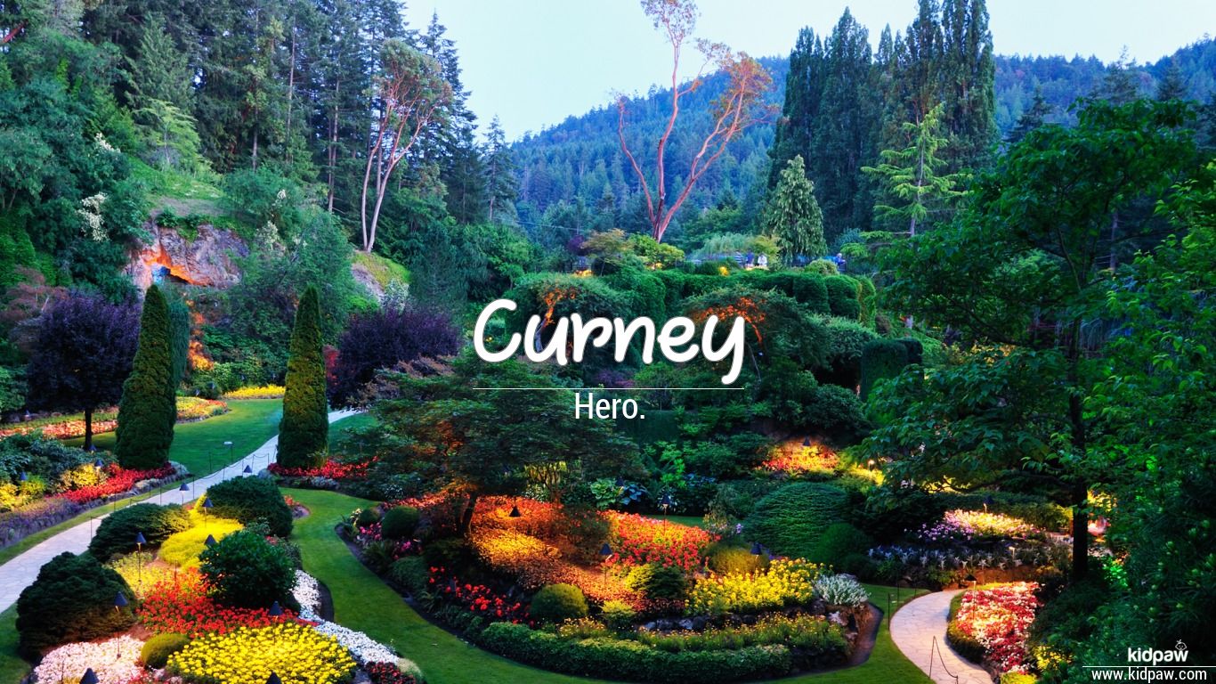 Curney Name Meaning in Urdu نام کی تفصیل، لکی نمبر