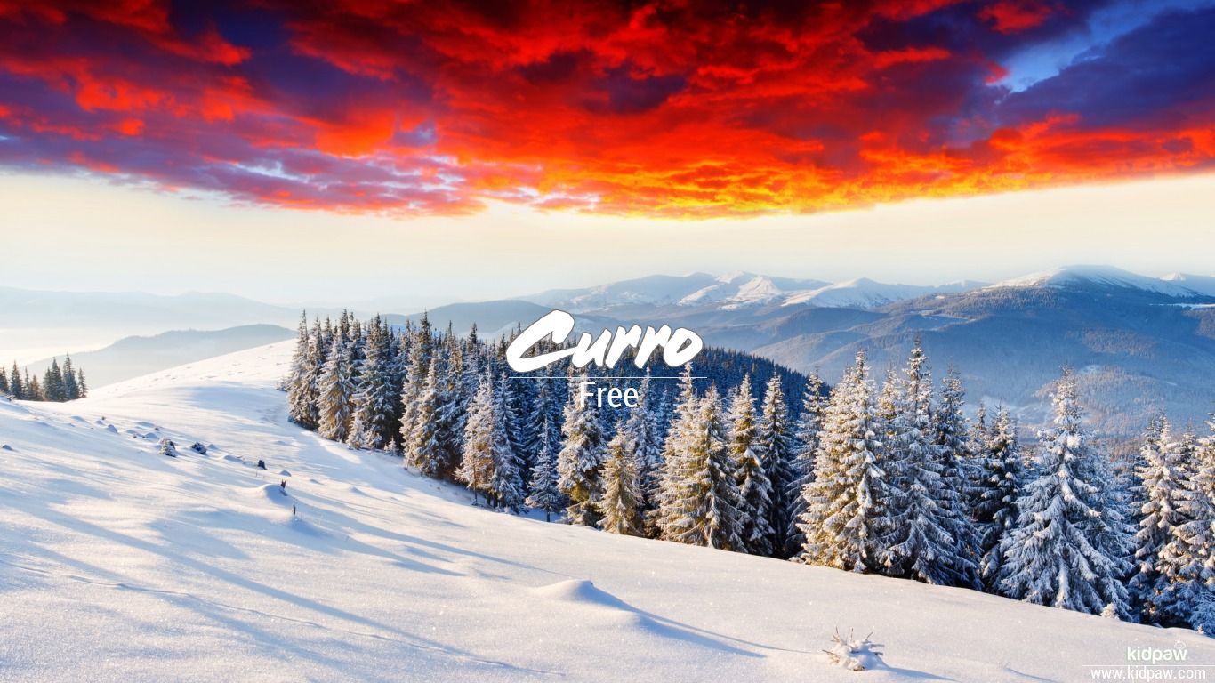 Curro Name Meaning in Urdu نام کی تفصیل، لکی نمبر