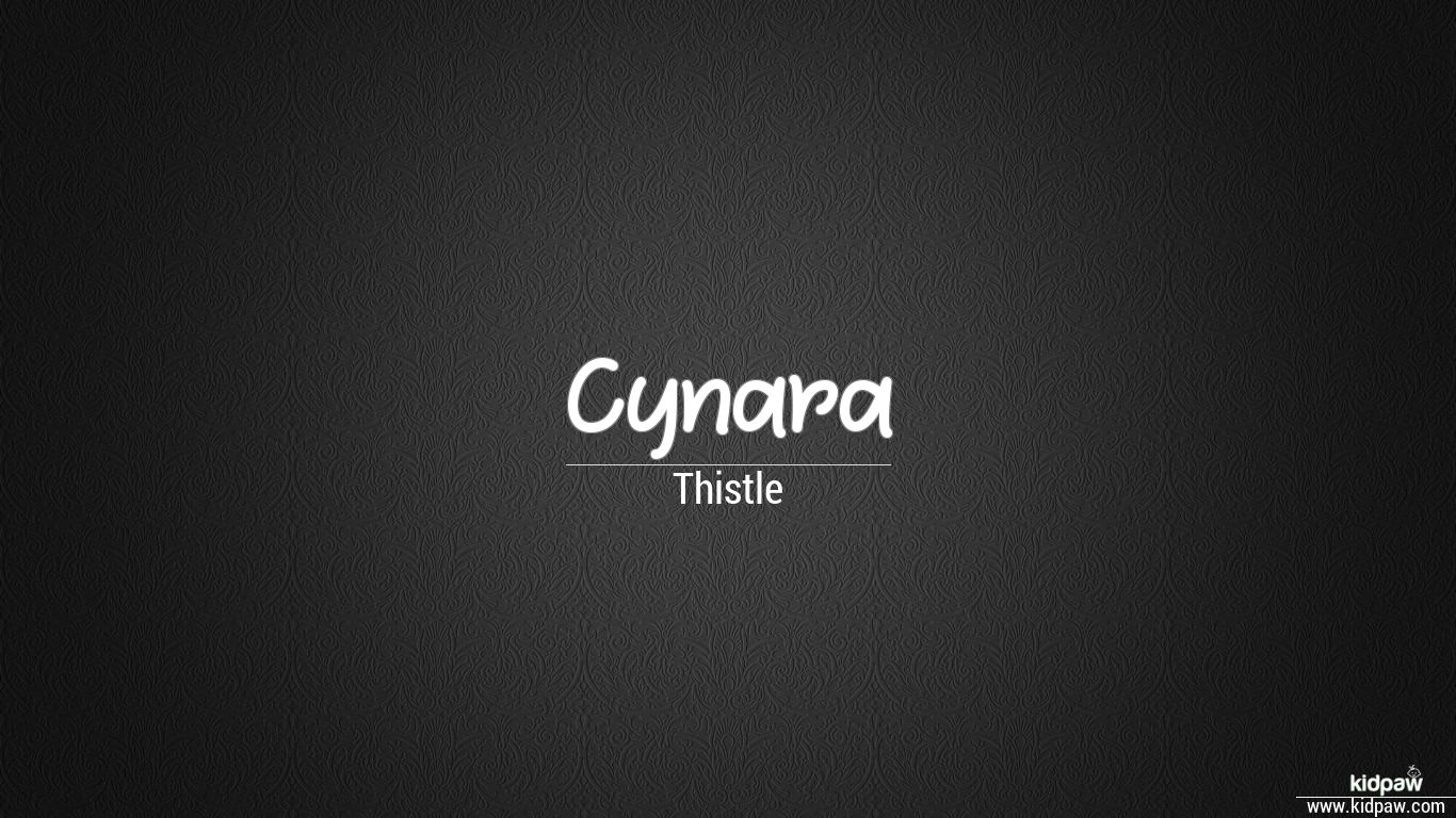 Cynara 3D Name Wallpaper for Mobile, Write Name on Photo Online