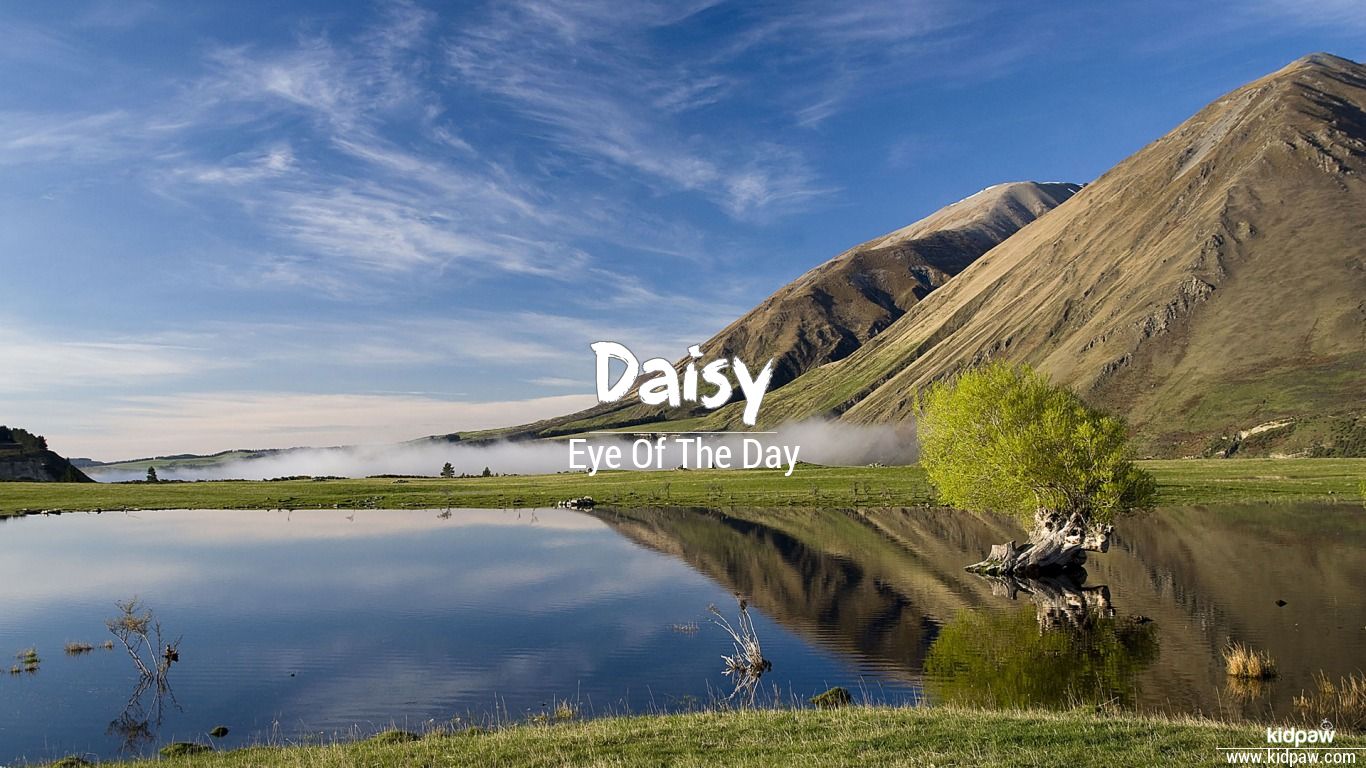 Daisy 3D Name Wallpaper for Mobile, Write Name on Photo Online