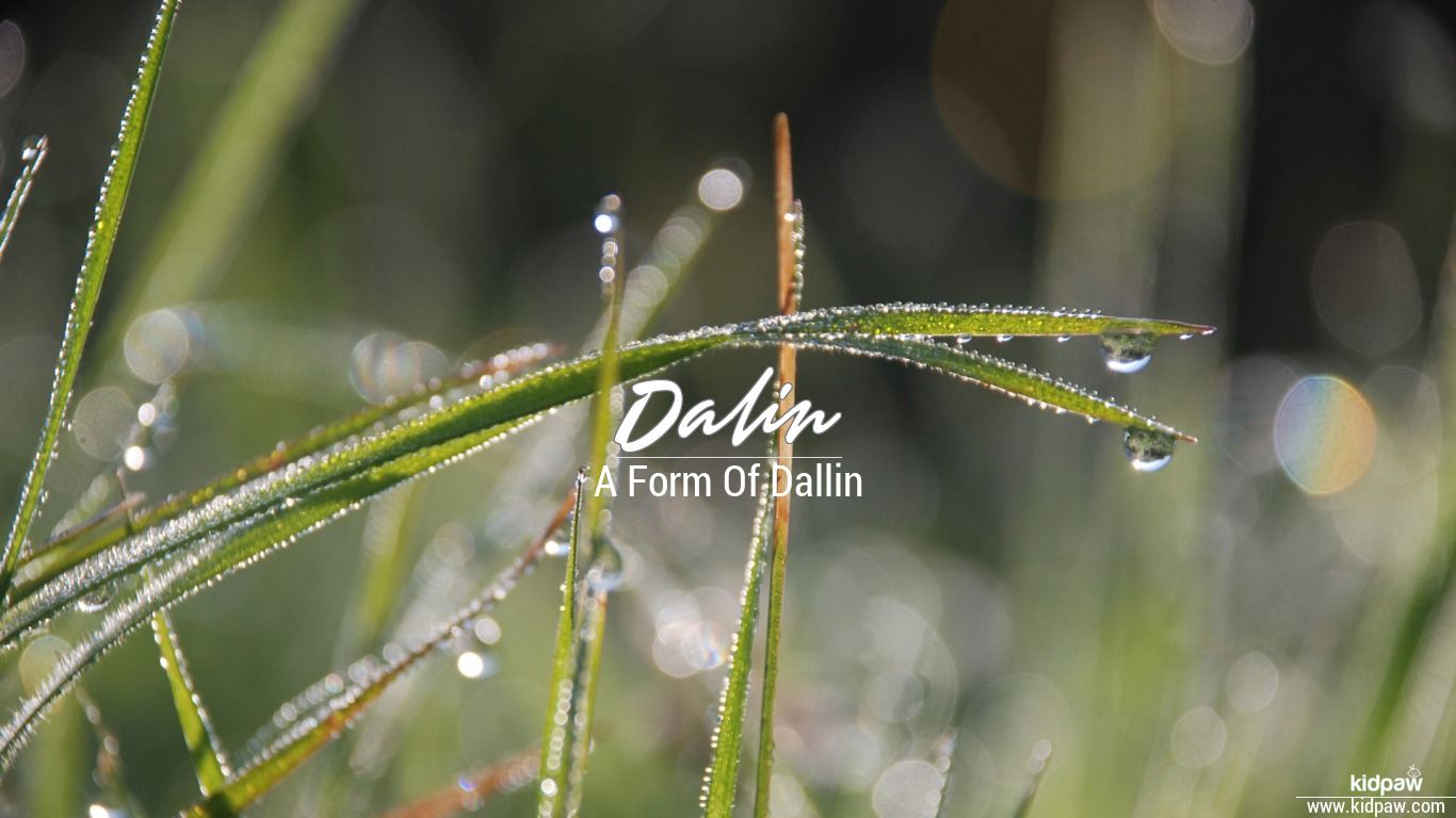 Dalin 3D Name Wallpaper for Mobile, Write Name on Photo Online